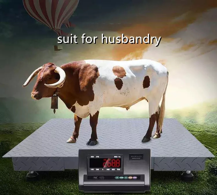 animal scales for horse Manufacturers,Livestock Scales Manufacturers ...